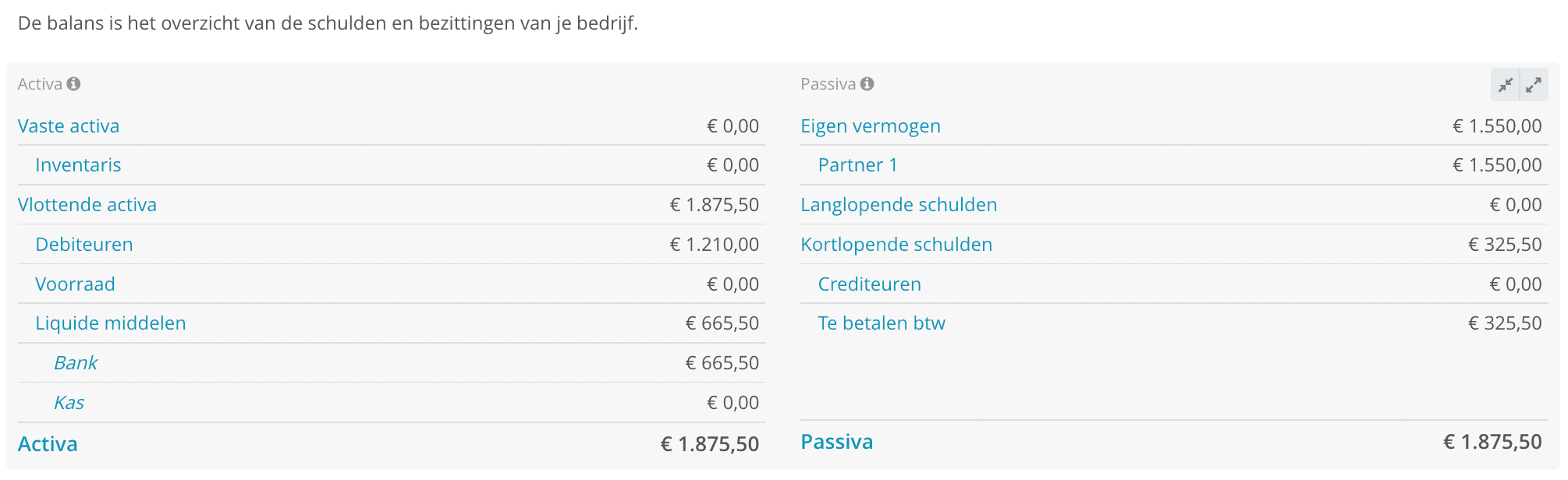 Durf jij het aan? Zelf je balans opstellen.