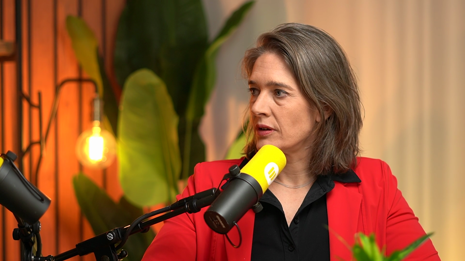 Podcast #23: Waarom snel rijk worden niet bestaat