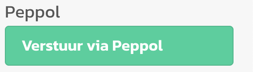 Een e-factuur sturen met PEPPOL | Rompslomp